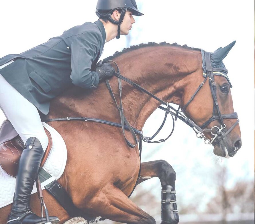 Equestrian shop & Horse tack shop - Horseonline.com