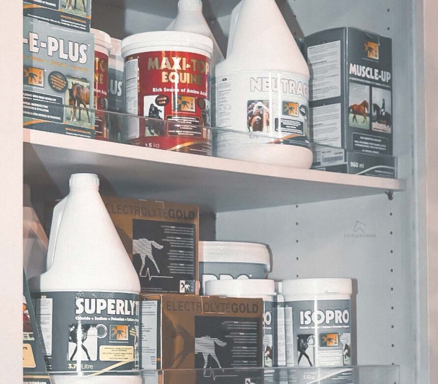 Equestrian shop & Horse tack shop - Horseonline.com