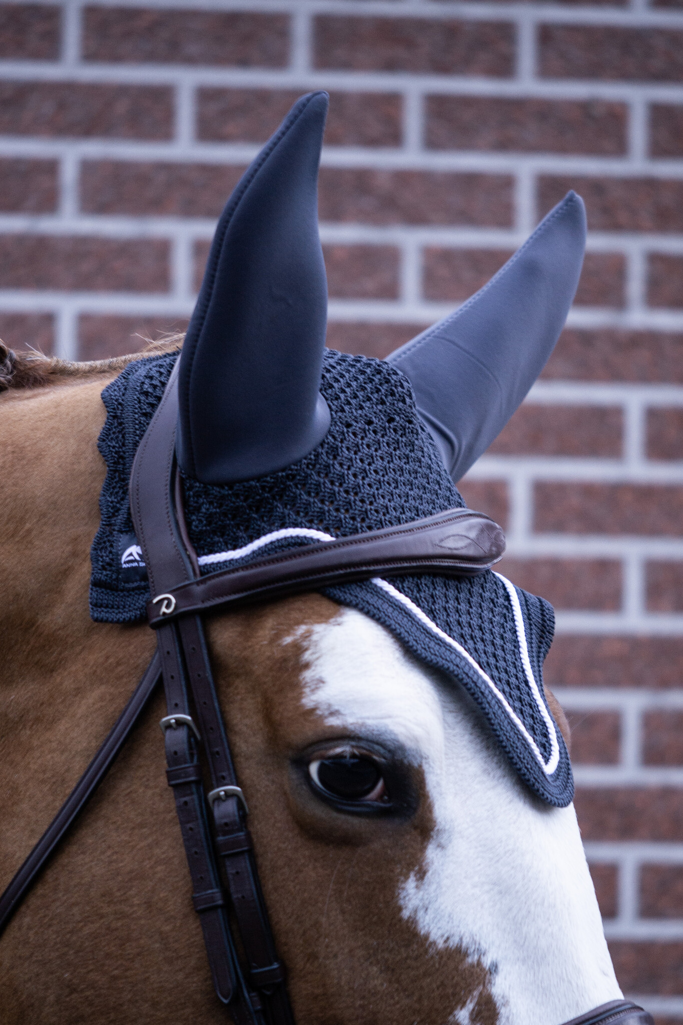 Anna Scarpati Fly Hat Zueg Grey - White - Grey - Horseonline.com