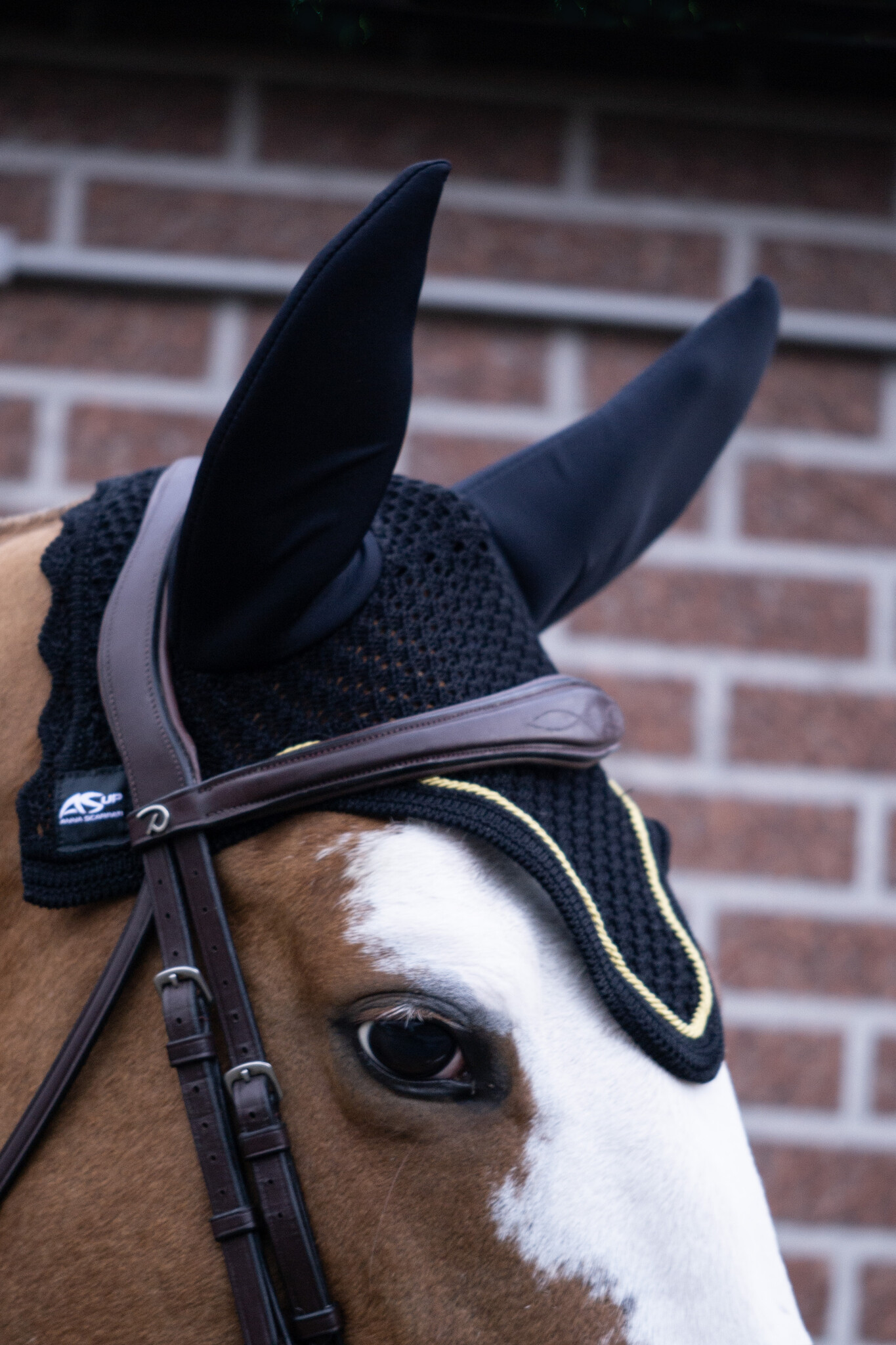 Anna Scarpati Fly Hat Zueg Black - Gold - Black - Horseonline.com