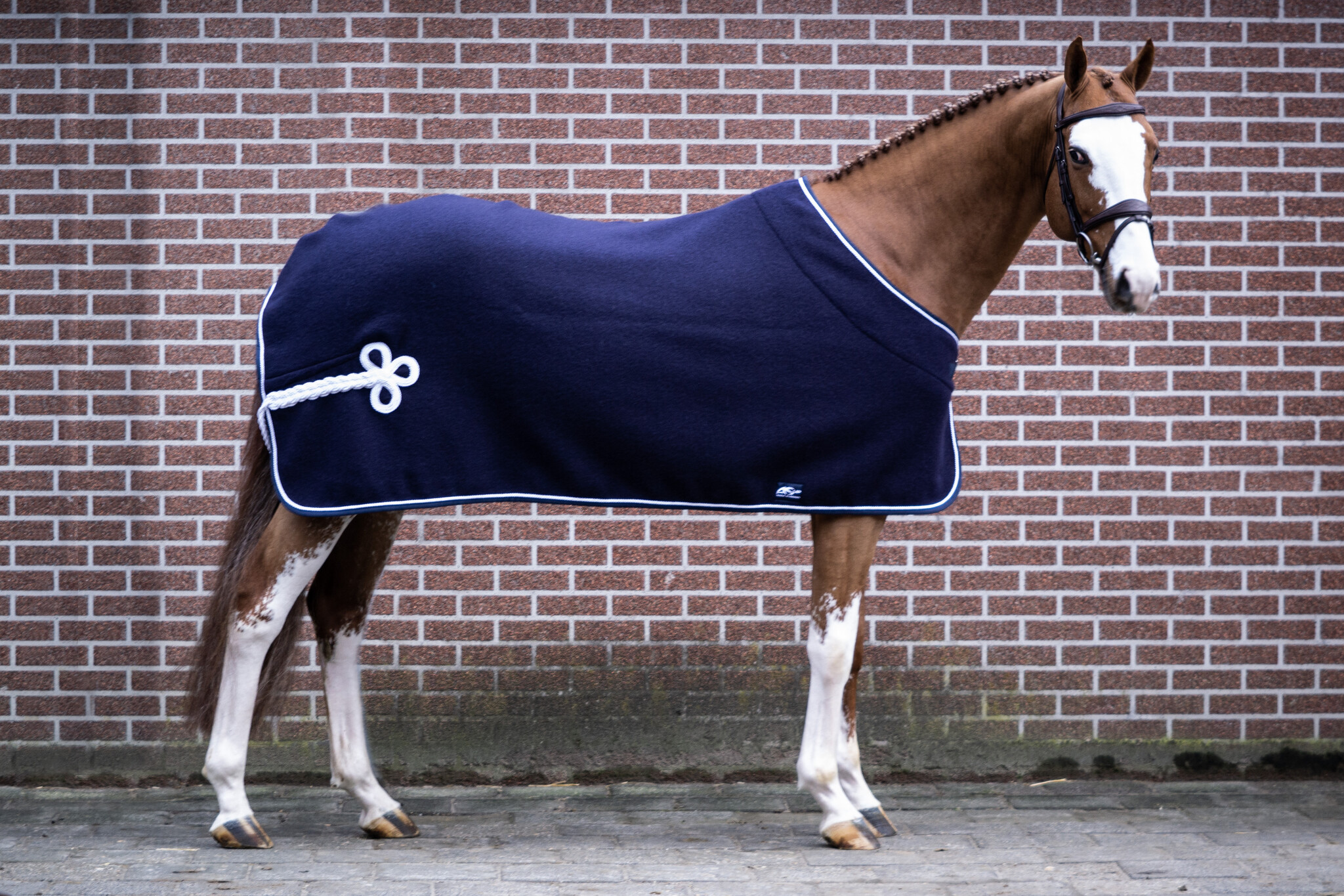 Anna Scarpati Wool Show Rug Noah Navy - White - Navy - Horseonline.com