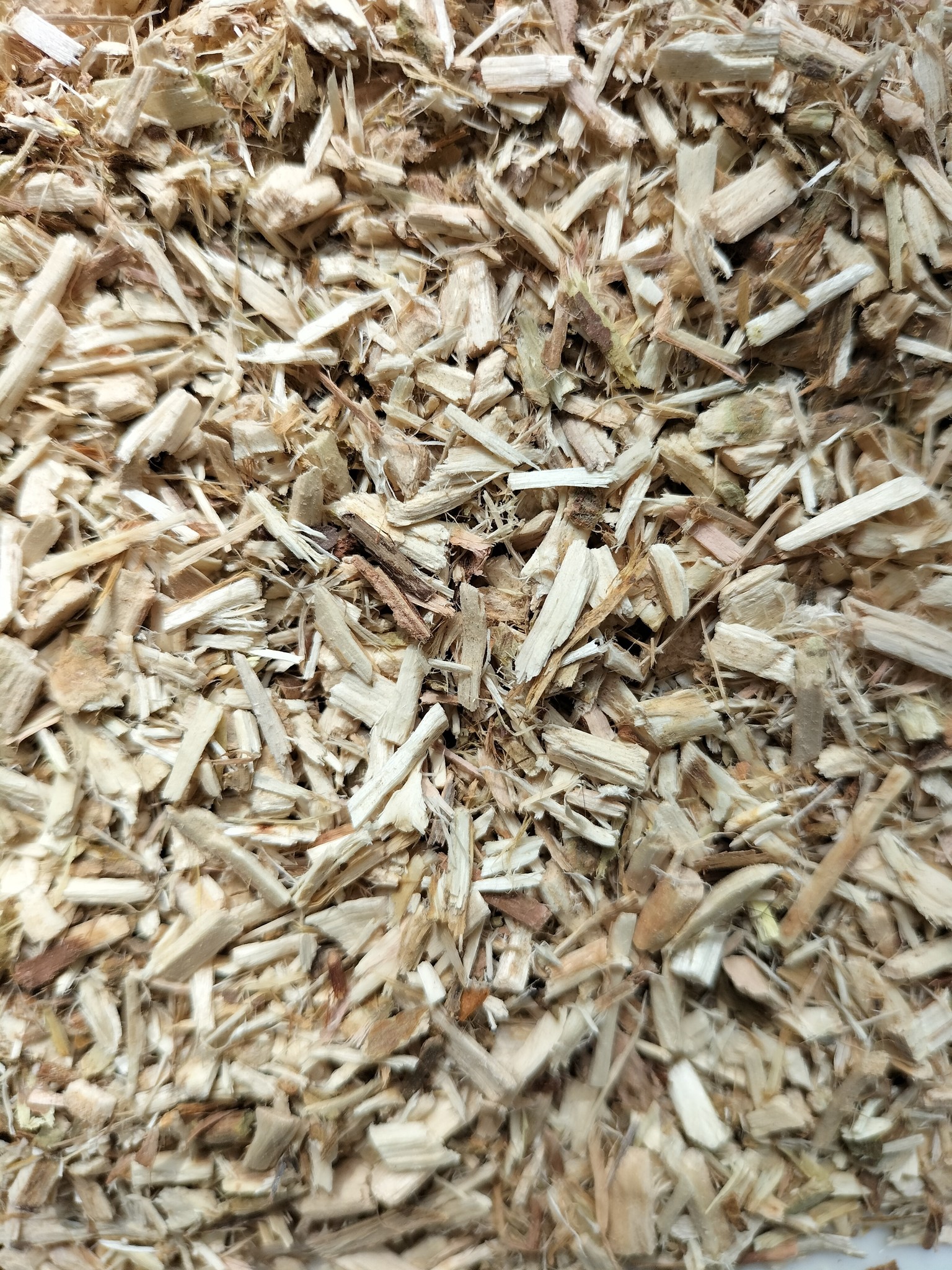 Wilgenbast (NIET BIJ ZWANGERSCHAP) koorts, pijnstillend ...