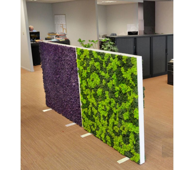Akoestische panelen uit mos - Brand New Office