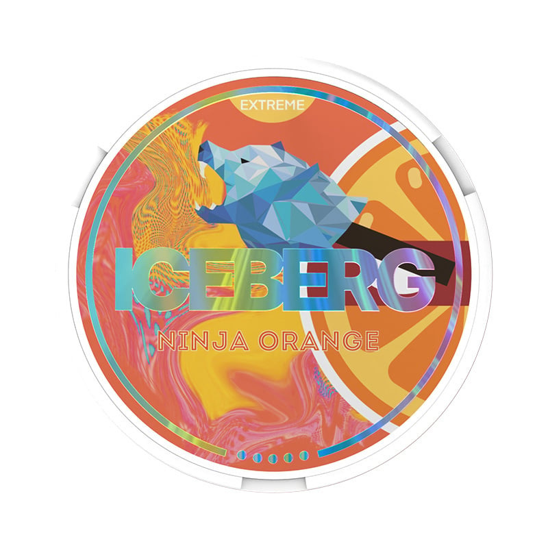 ICEBERG Ninja Orange - Europouches.com