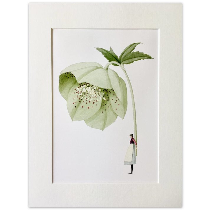 Laura Stoddart - Art, Cards, Stationery & Homewares - Seasons Green