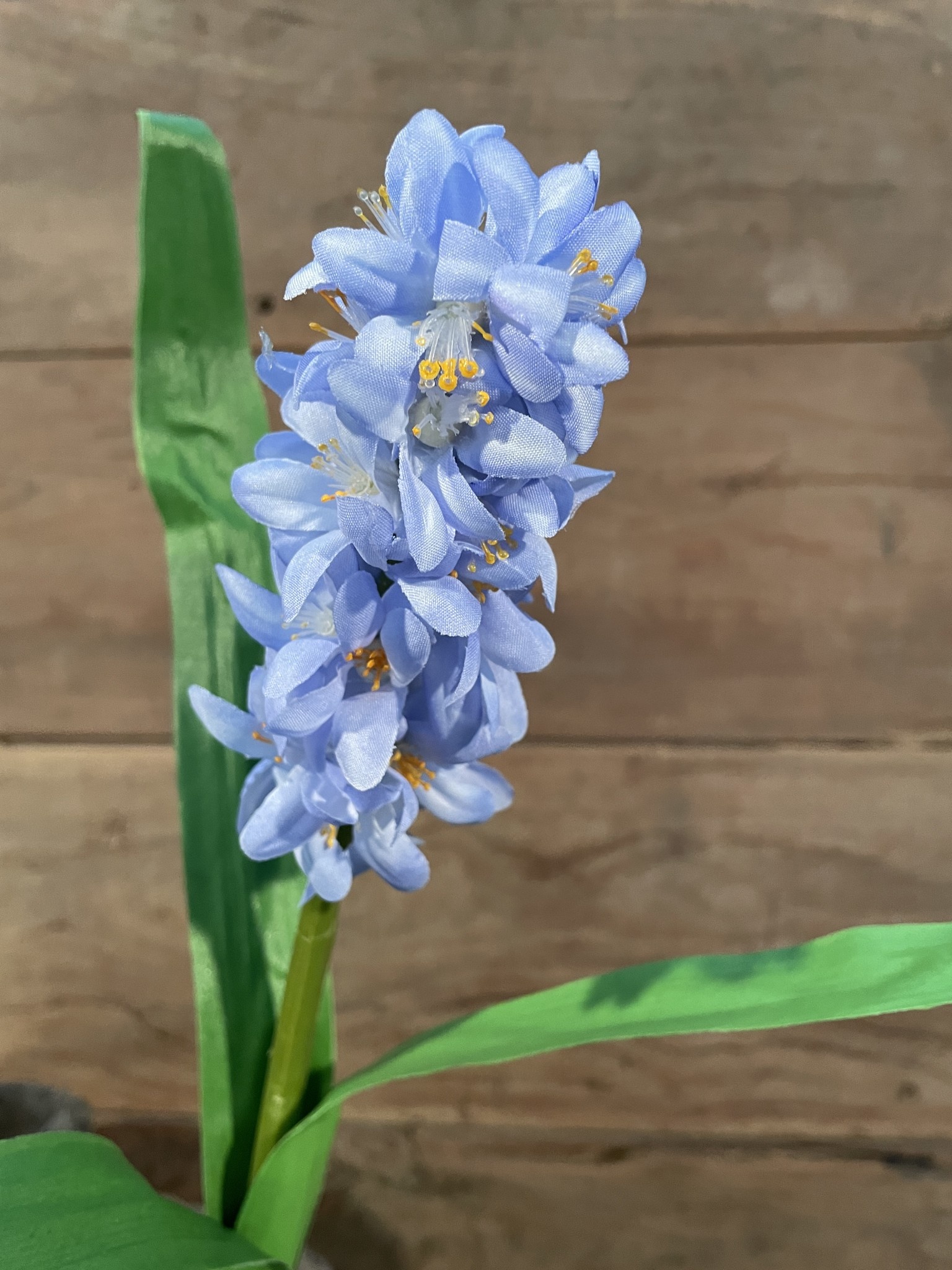 Blauwe hyacint 45 cm - Woonwinkel Pommelientje