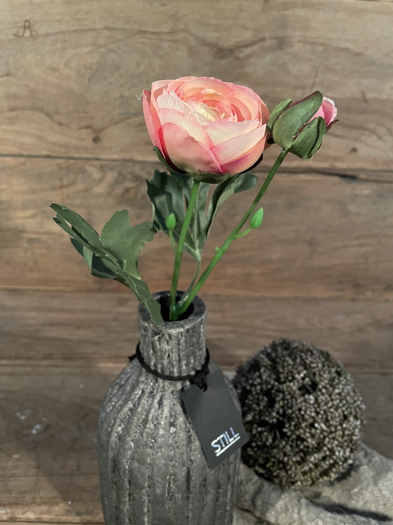 Roze ranonkel "Isolde" 34 cm - Woonwinkel Pommelientje