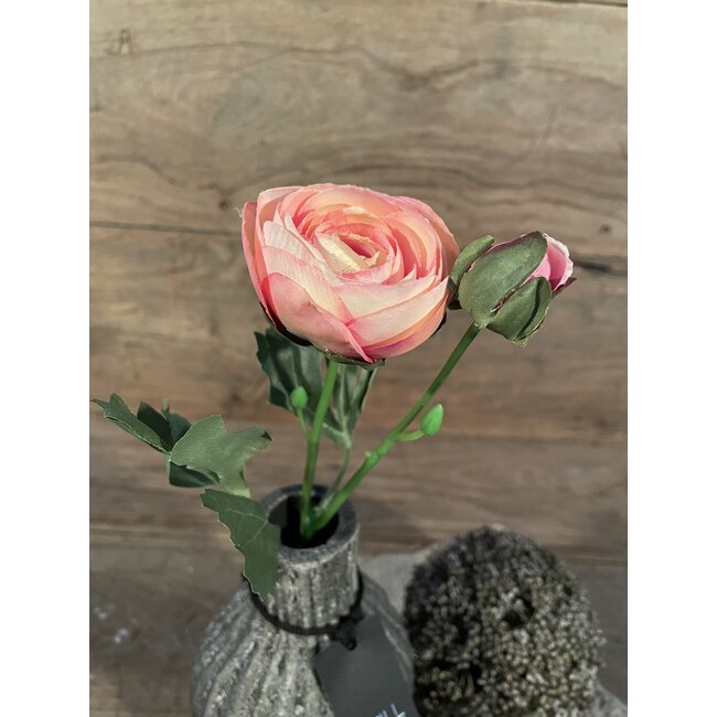 Roze ranonkel "Isolde" 34 cm - Woonwinkel Pommelientje