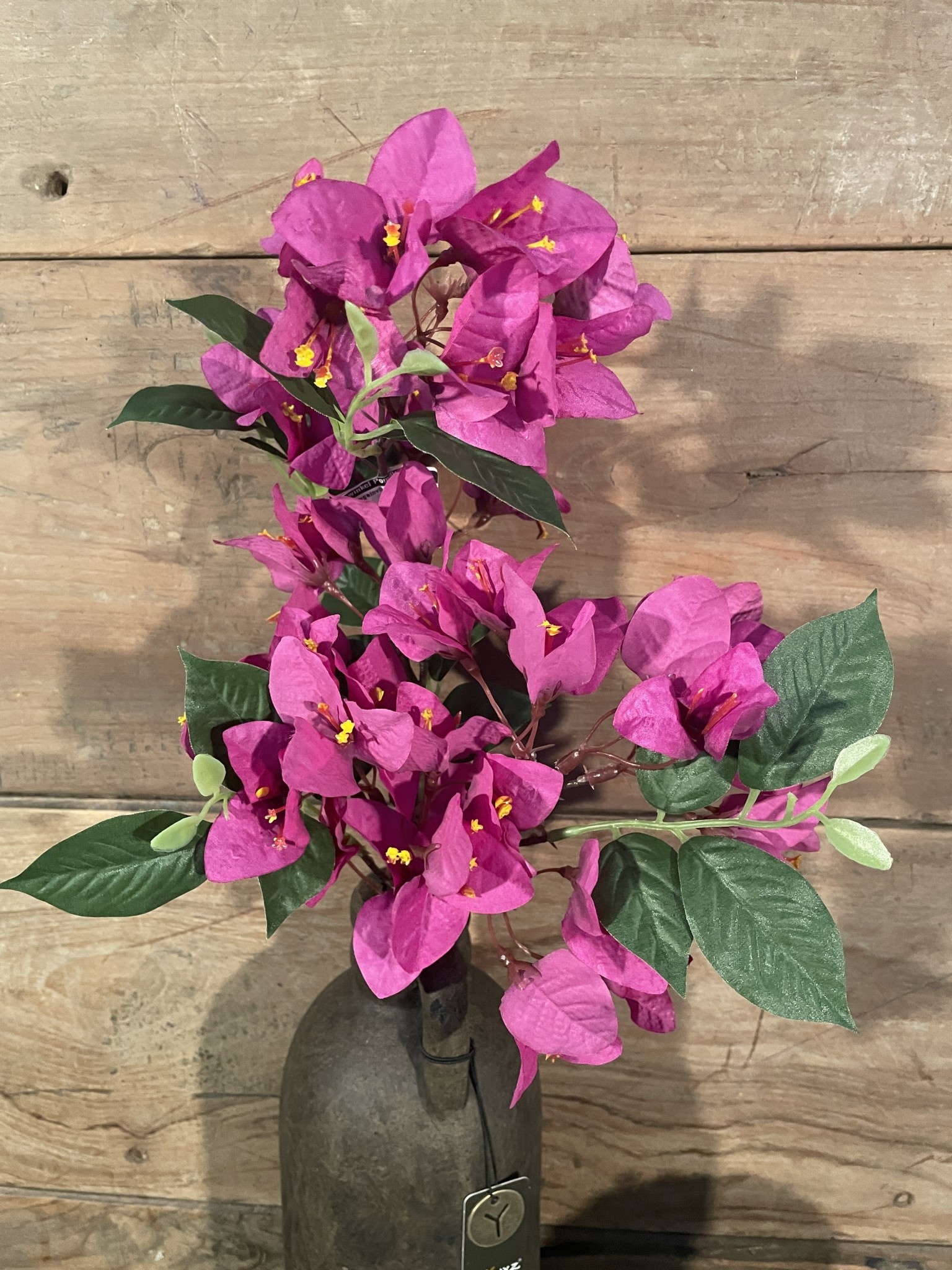 Bougainvillea - fuchsia - 76 cm - Woonwinkel Pommelientje