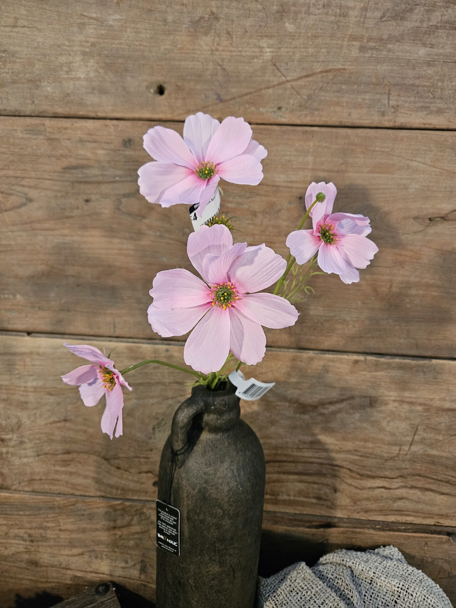 ~Cosmos Spray x4 67cm - Woonwinkel Pommelientje