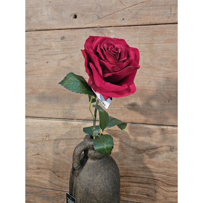 Rode roos 54 cm - Woonwinkel Pommelientje
