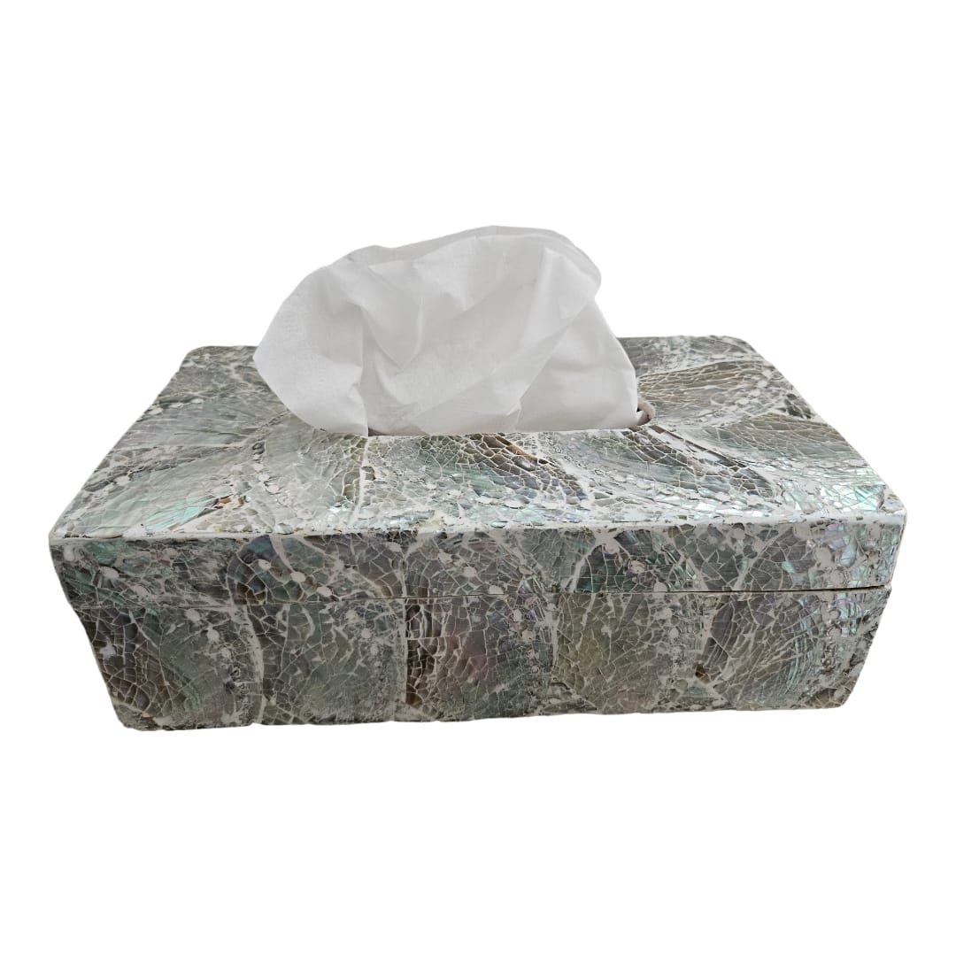 Luxe Tissue box lichte Abalone schelpen 24x12x7cm - Avantius