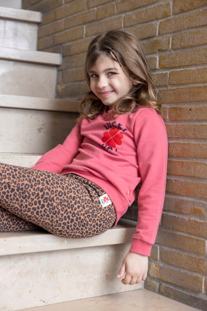 Jubel Jubel - Sweater Roze - Queen Of Hearts - Stekels & Staartjes