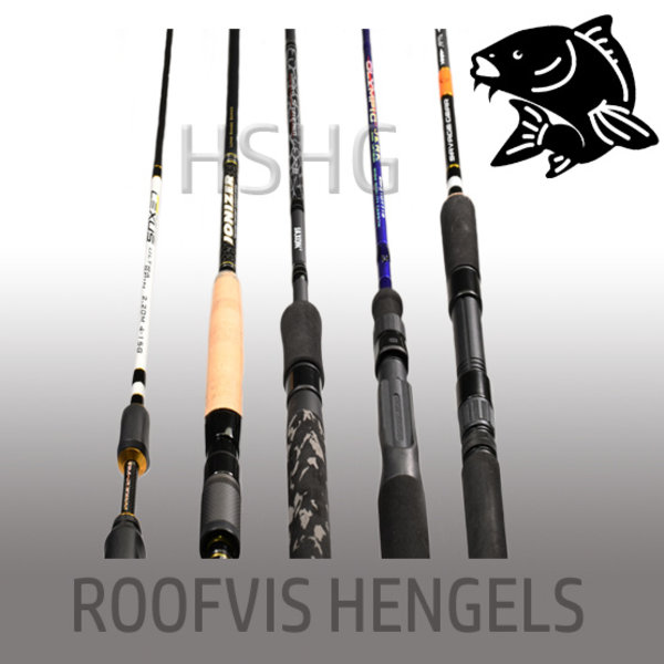 Vishengel kopen om actief mee te gaan vissen? Bestel jouw vishengel ...