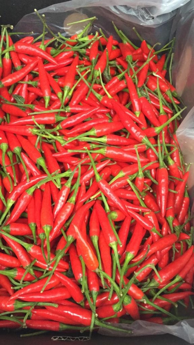 Rawit red - pittige pepper, chillie pepper - asianfoodfactory