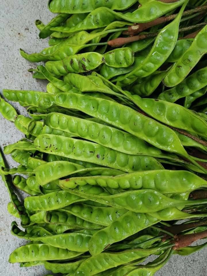 Yongchak / peteh bean