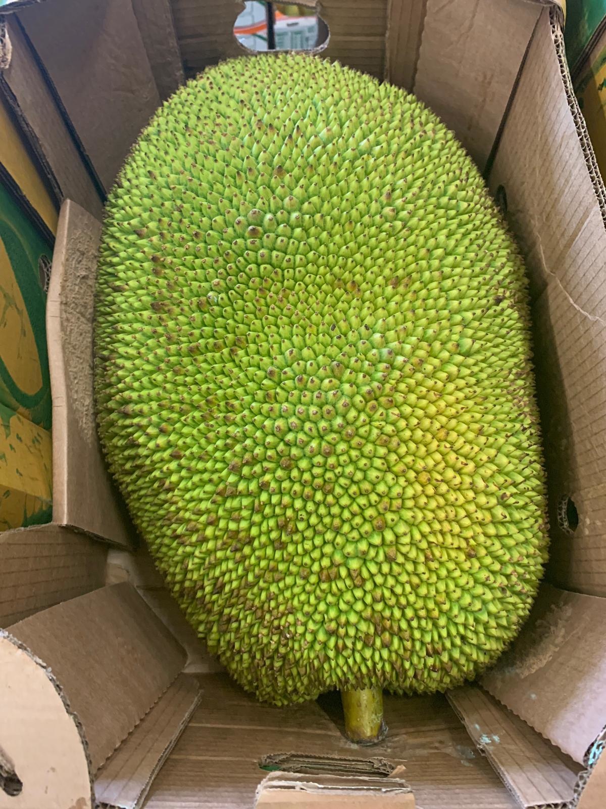 Jackfruit WHOLE - by kg