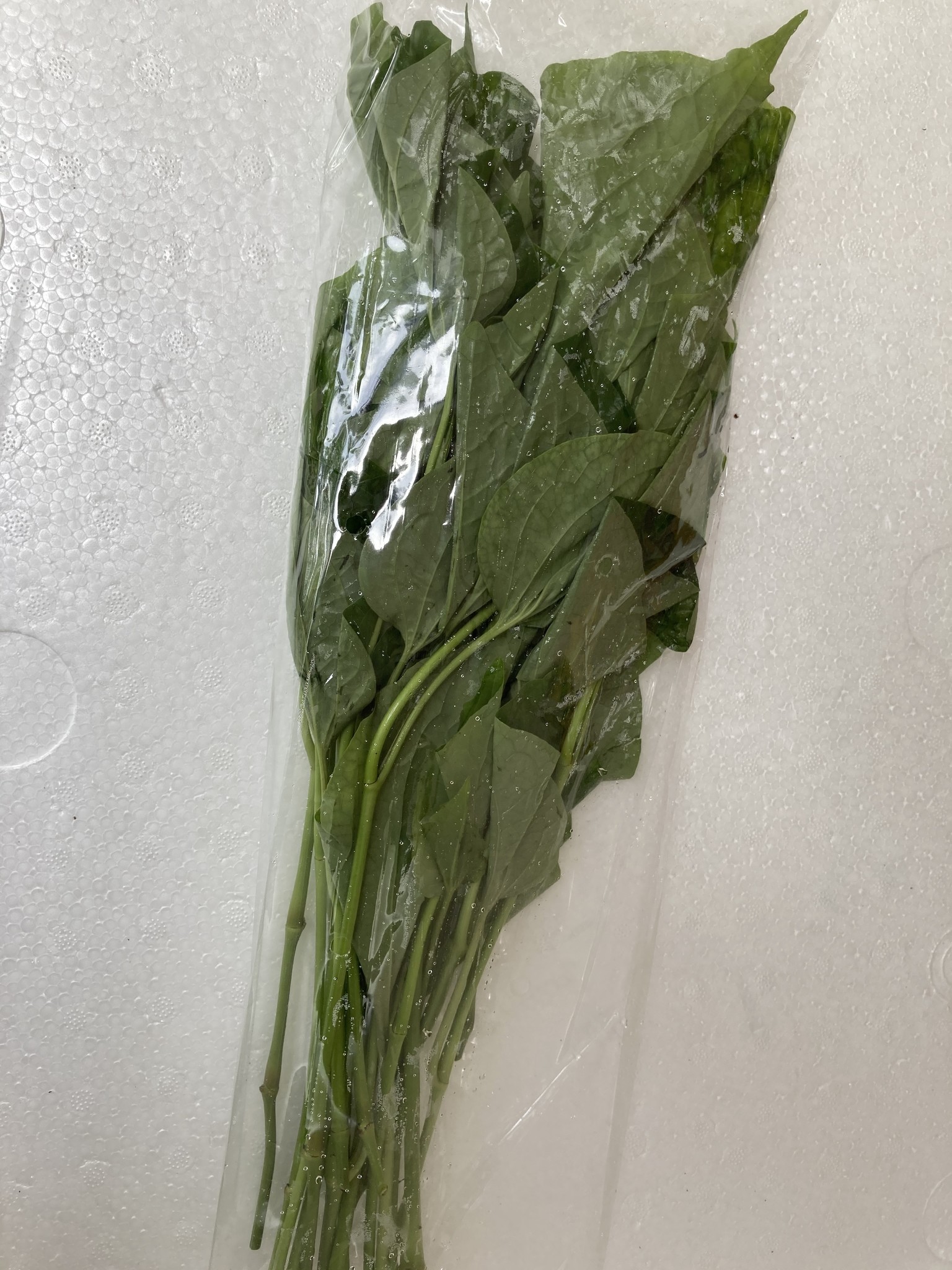 Chapu leaf (10x100gram) - 1kg. - asianfoodfactory