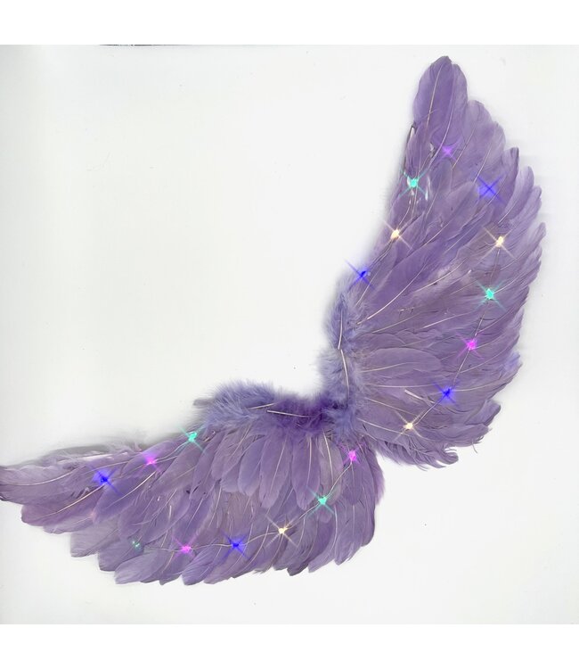 Engeltje Vleugels met lichtjes - Lampjes Voor Meisjes In Vele Kleuren ...