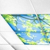 LED Plafond / Wolkenplafond Kopen? - LED24