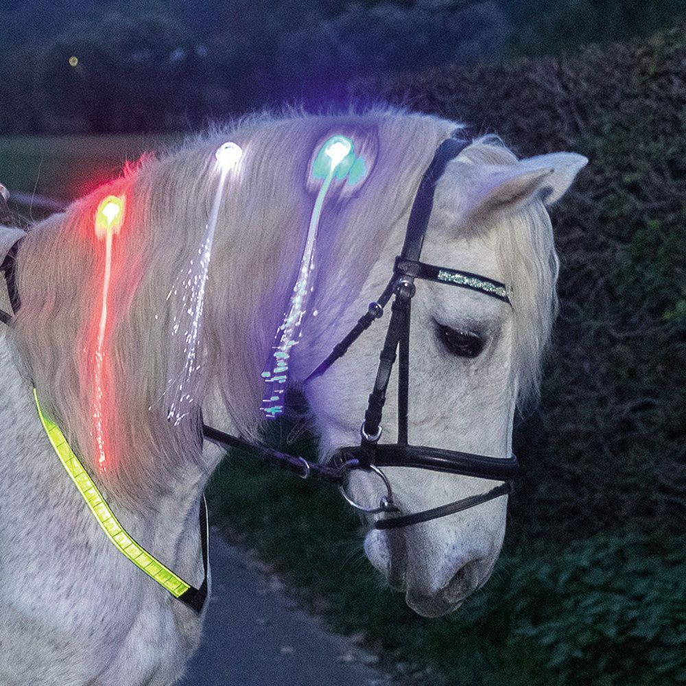 LED Mane clips, Set of 3 clips - Becidor