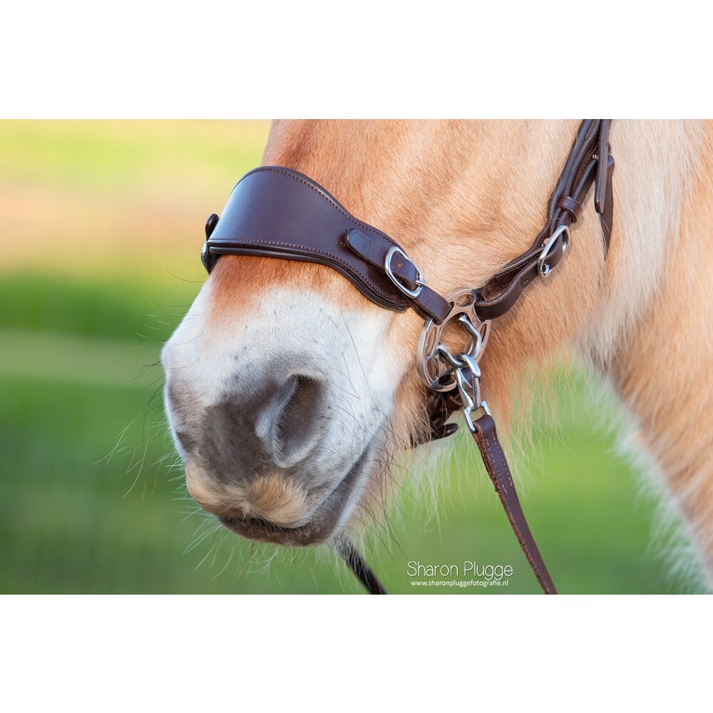 EDIX Hack-Halo hackamore scharen - Becidor