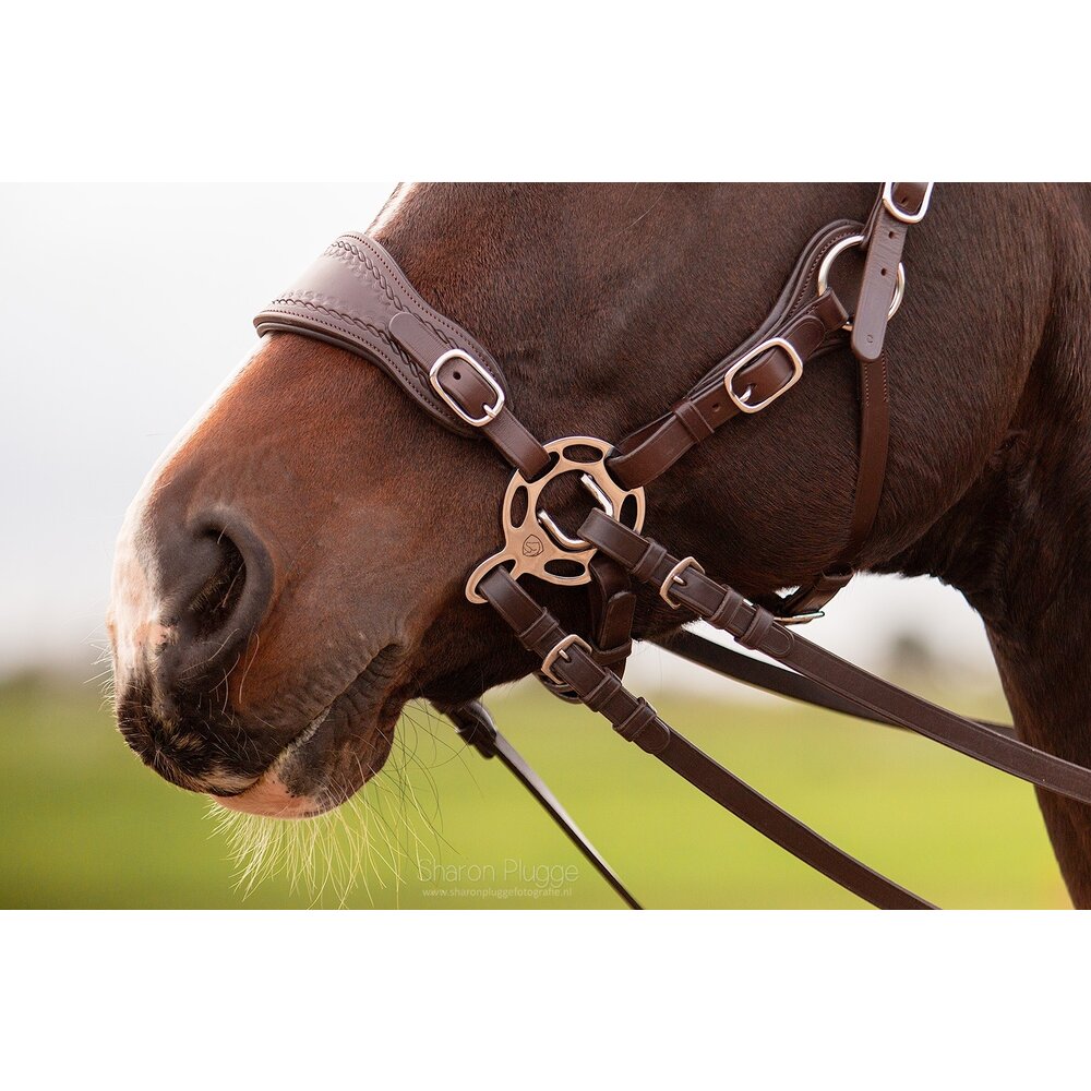 EDIX Hack-Halo-Pro hackamore scharen - Becidor