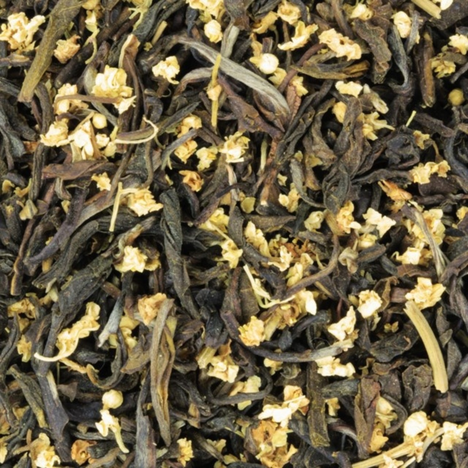 Jasmijn Thee Sambuca Biologisch - the art of tea.