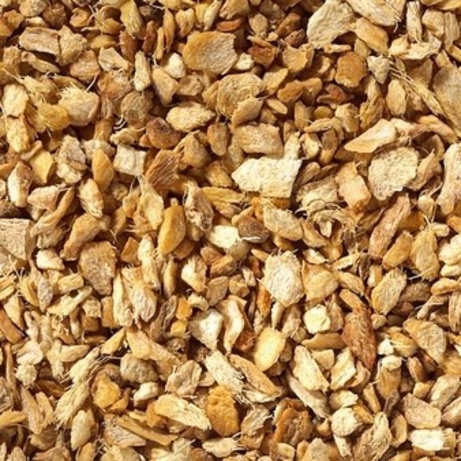 Verse Gember Thee kopen - the art of tea.