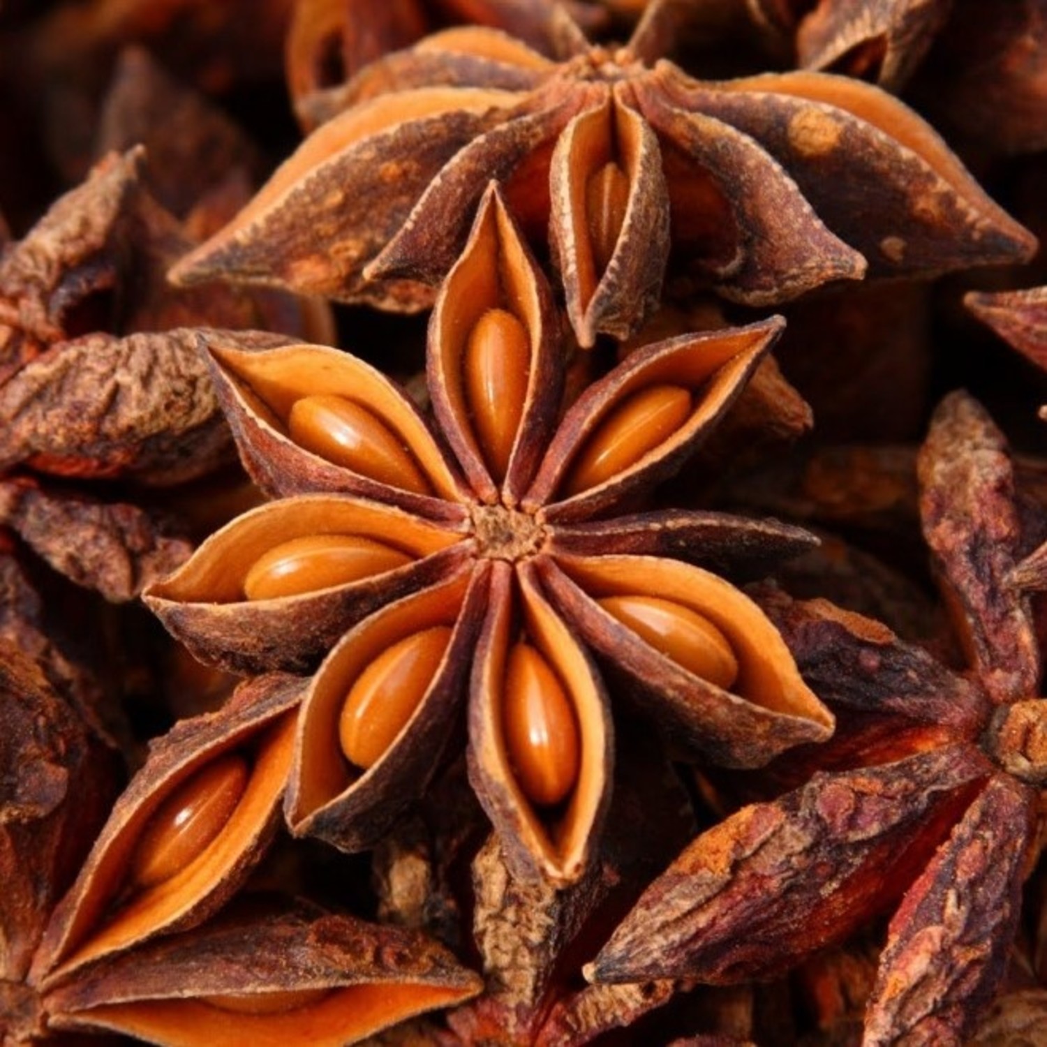 Steranijs heel - the art of tea.