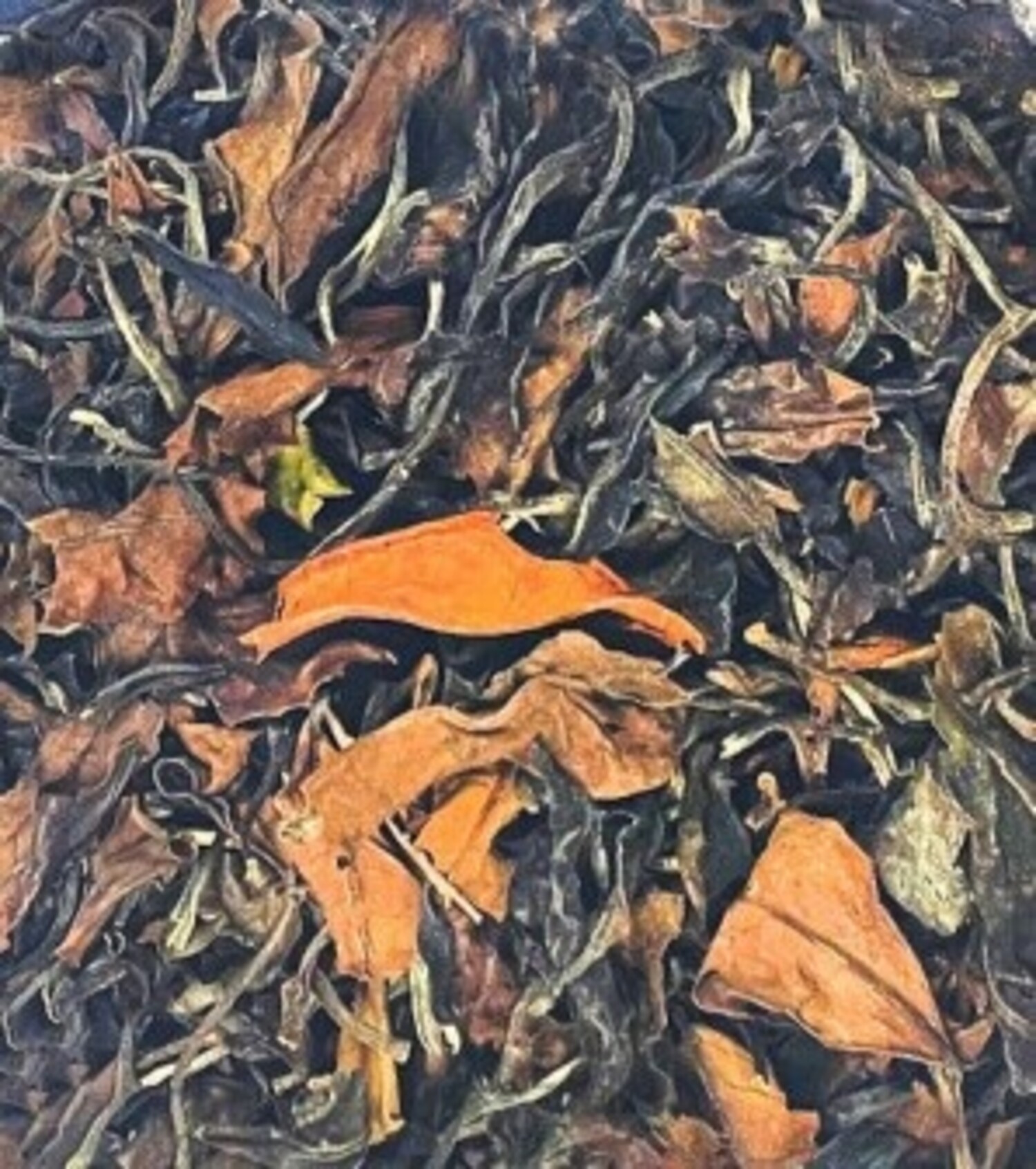 SPT BIO Colombian White Tea Bitaco - the art of tea.