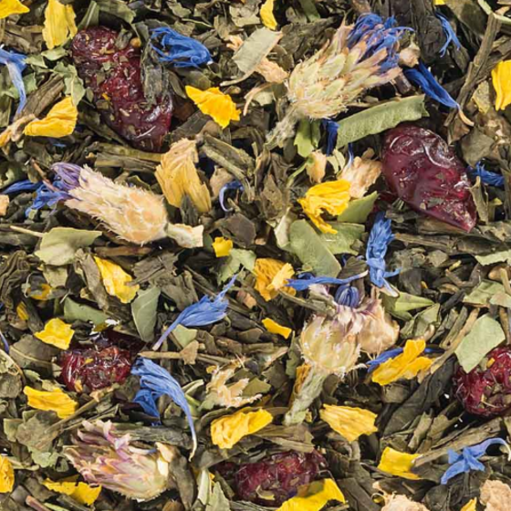 Thee met zorg geselecteerd in Haarlem - the art of tea - the art of tea.