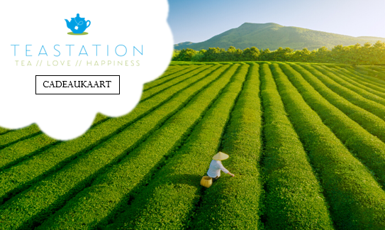 Teastation cadeaukaart - gift&card