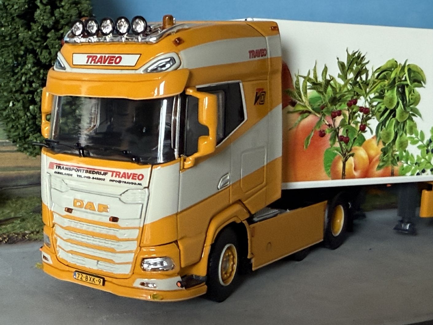 WSI DAF XG+ 4x2 midlift met 3-assige tridec koeltrailer TRANSPORTBEDRR ...
