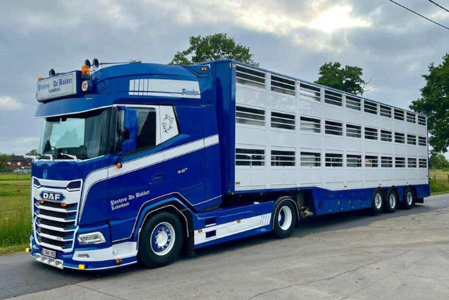WSI DAF XG+ 4X2 with 3-axle live stock trailer PEETERS DE BAKKER ...