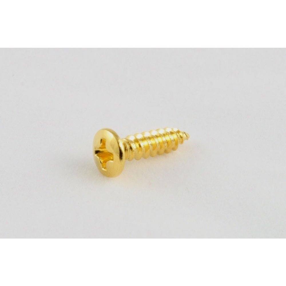Pickguard screws gold set/20 - Vox Humana Guitars