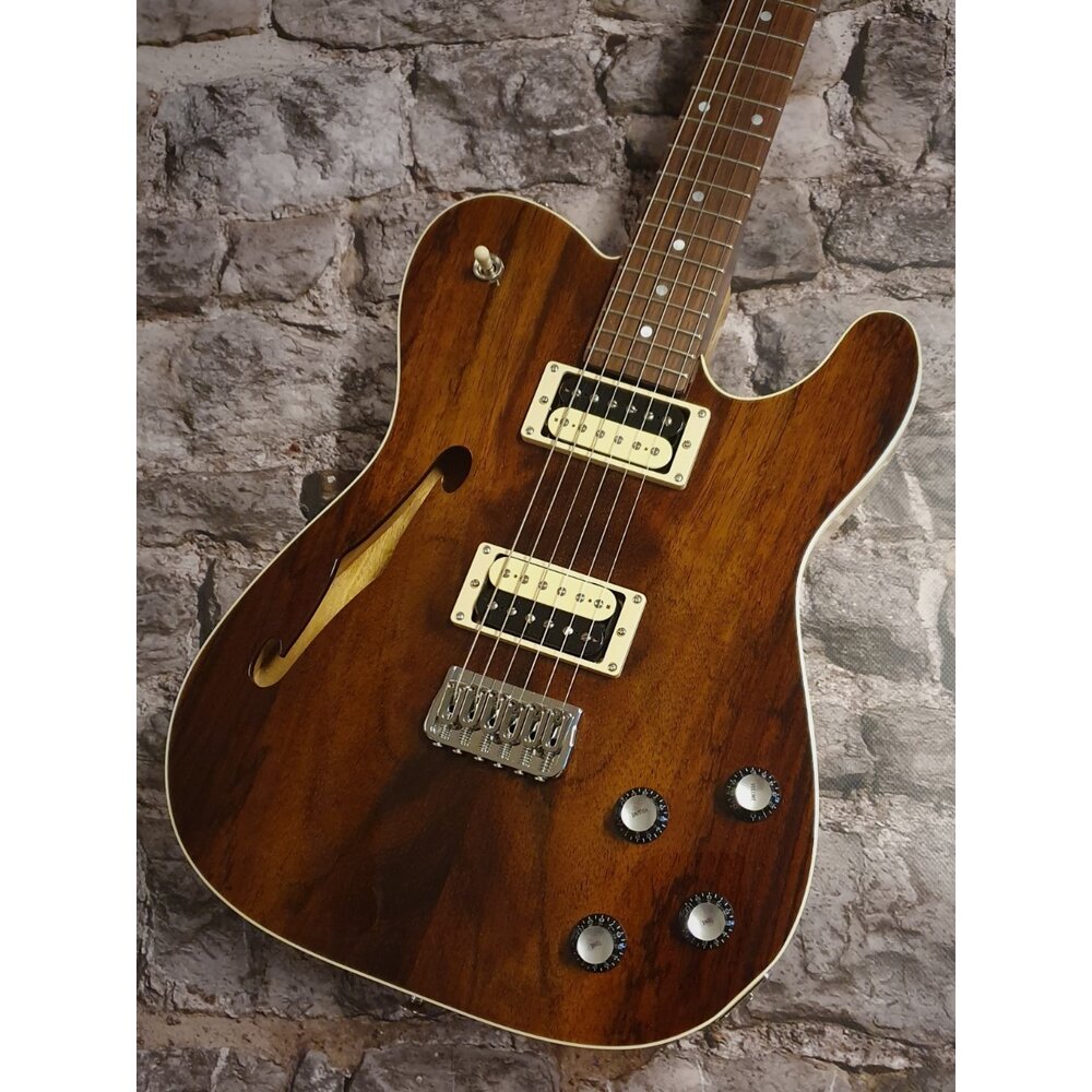 Vox Humana TE-Thinline Custom Guitar Rosewood Neck & Top - Vox Humana ...