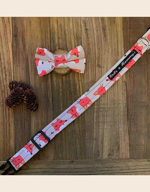 Little Fox | Dog Collar - Fritz & Hammy's