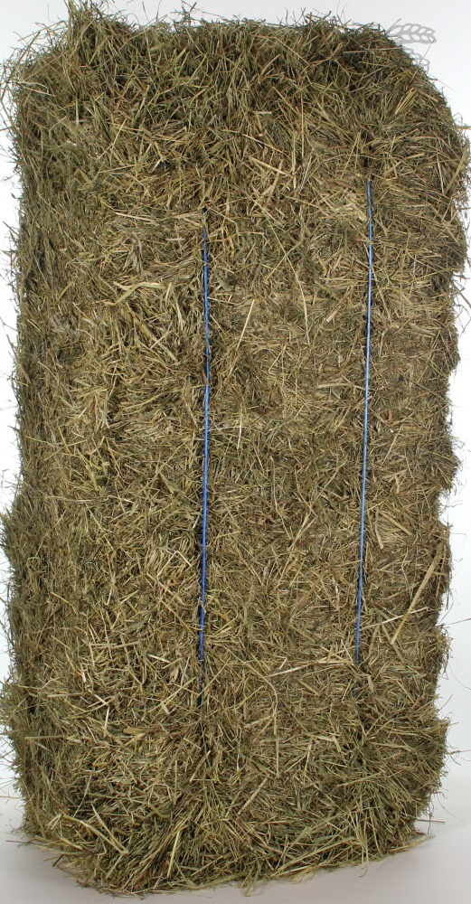 Hooi baal 1 st. - Dierenspeciaalzaak Hereba