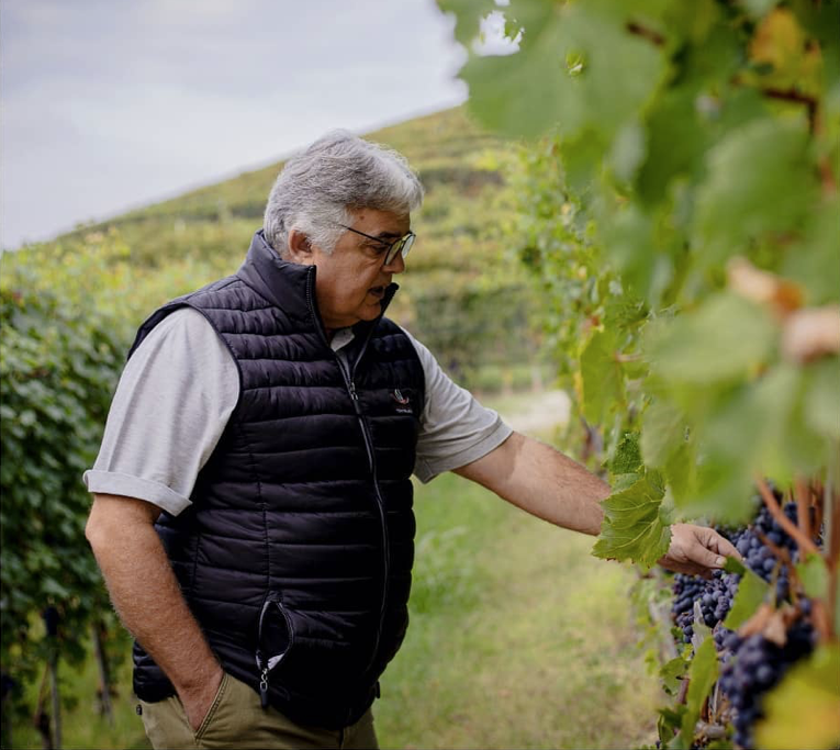 Mauro Sebaste, een boutique winery in het hart van de Piemonte - ONWINE ...