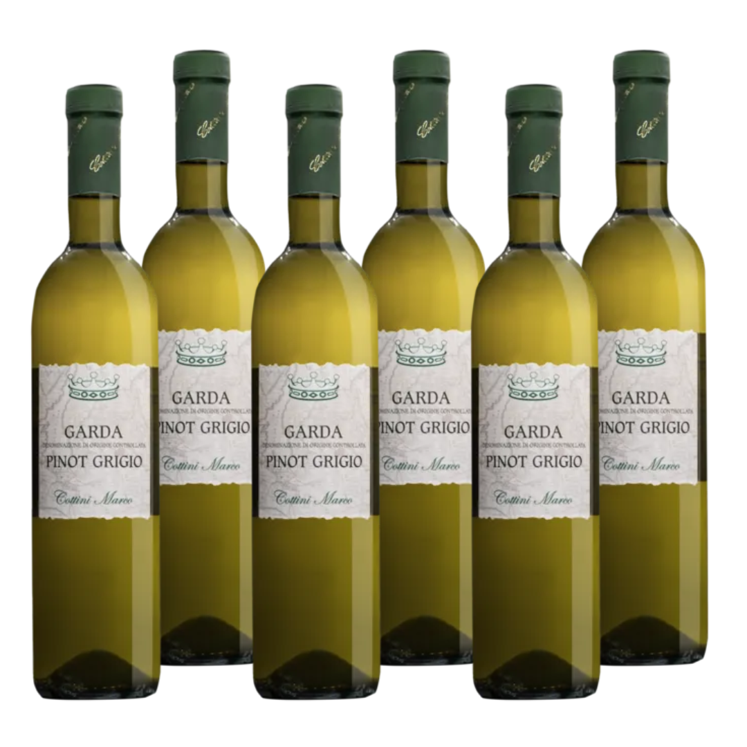 Pinot Grigio DOC 2022, Cottini - ONWINE: From winemaker to glass