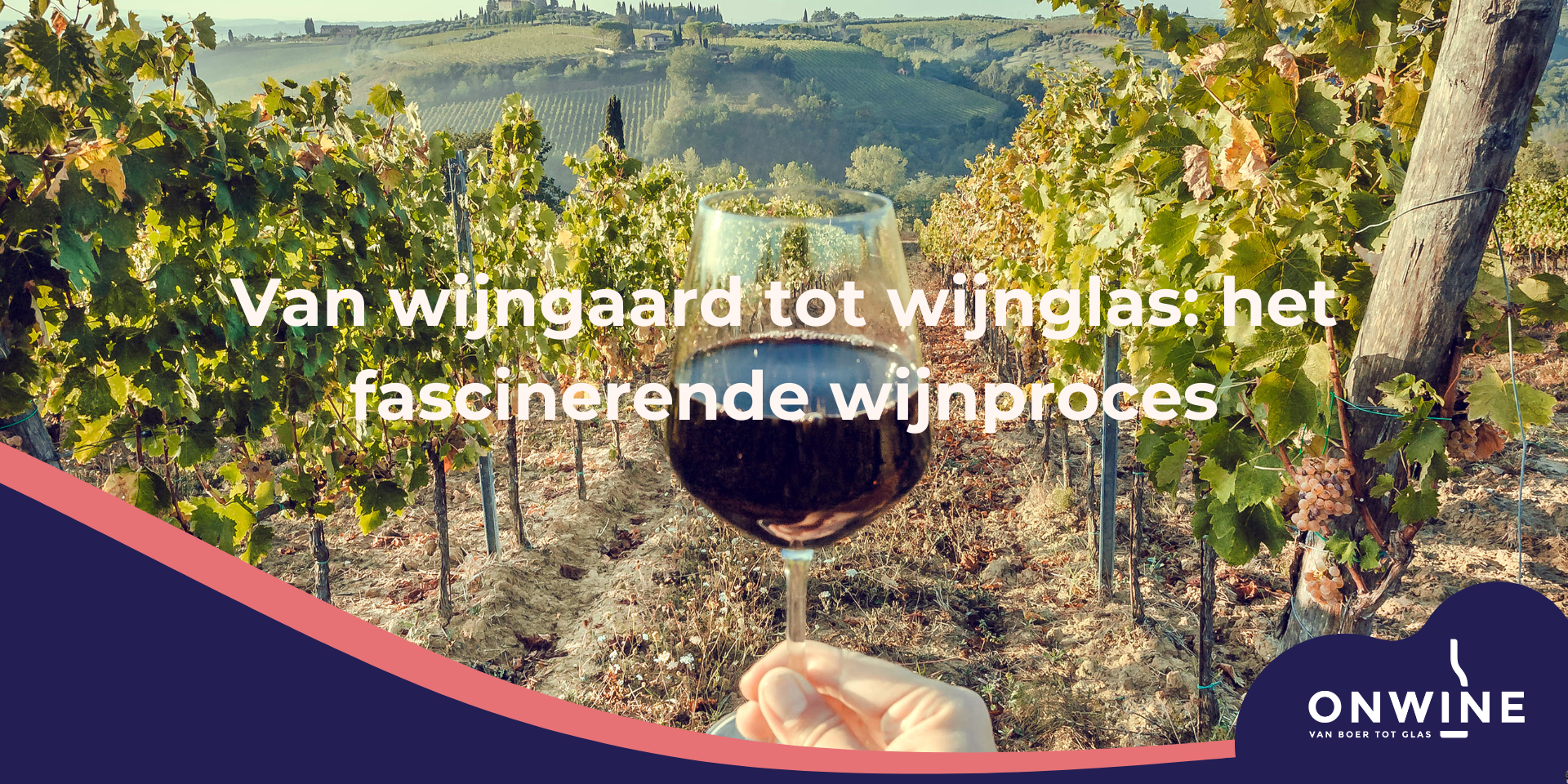 Van wijngaard tot wijnglas: het fascinerende wijnproces - ONWINE: Van ...