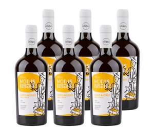 'Modus Bibendi' Bianco Macerato Terre Siciliane IGP - ONWINE: From ...