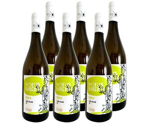 Elios 'Modus Bibendi' Bianco Terre Siciliane IGP - ONWINE