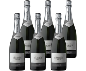 Cembrani DOC Alfio Nicolodi 'Cimbrus' Brut Metodo Classico - ONWINE