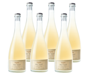 Weingut Dopler PétNat Brut - ONWINE: From winemaker to glass