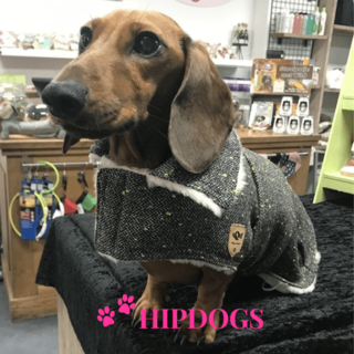 Teckel kleding - Hipdogs