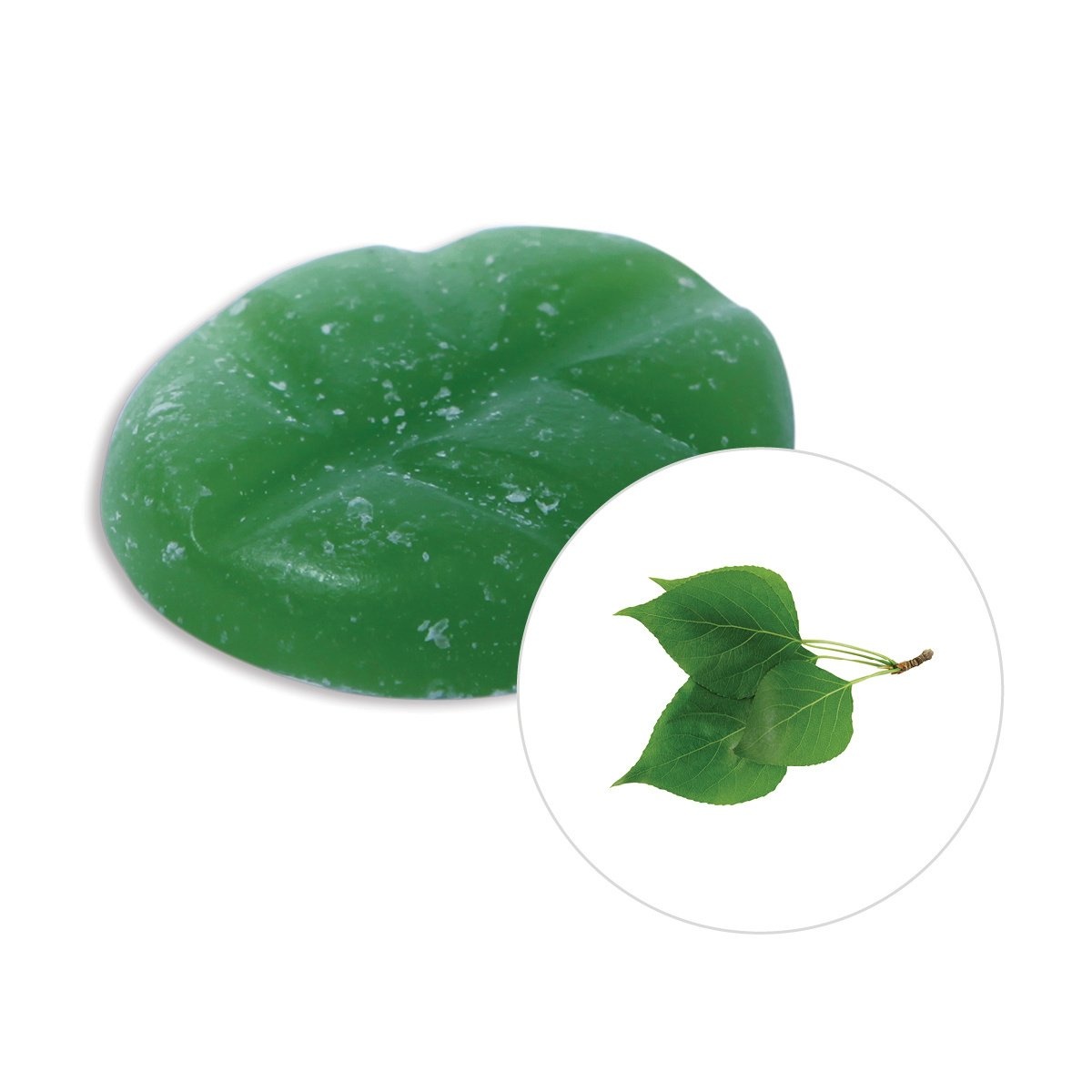 Evergreen fragrance chips ScentChips - Scentchips®