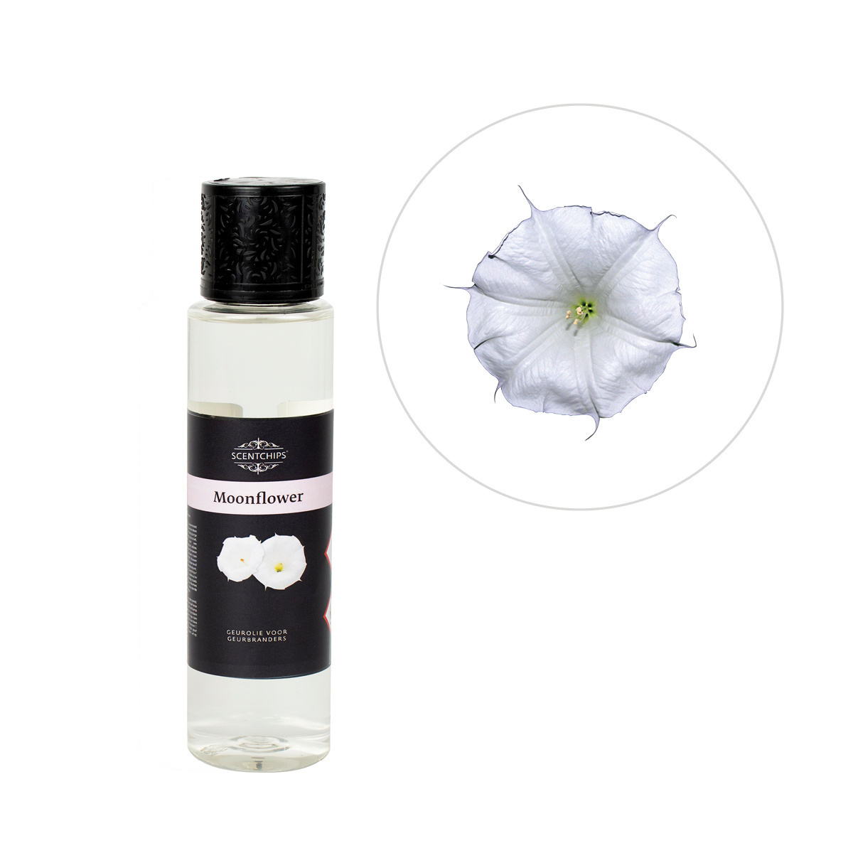 Moon Flower fragrance oil ScentOil - Scentchips®