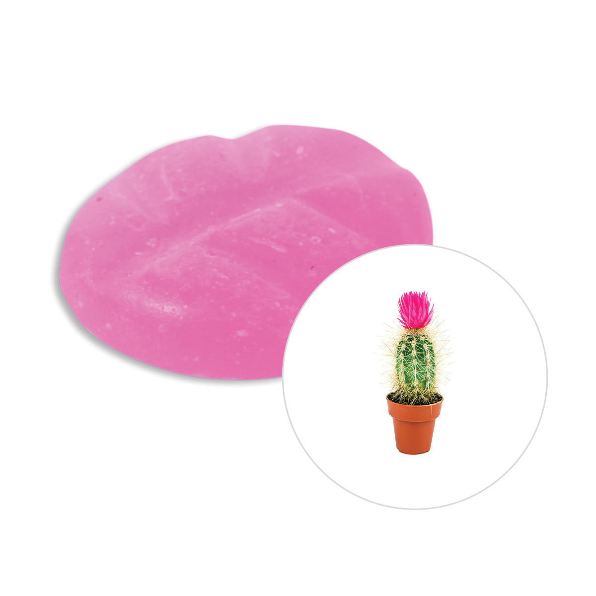 Cactus Flower fragrance chips ScentChips - Scentchips®